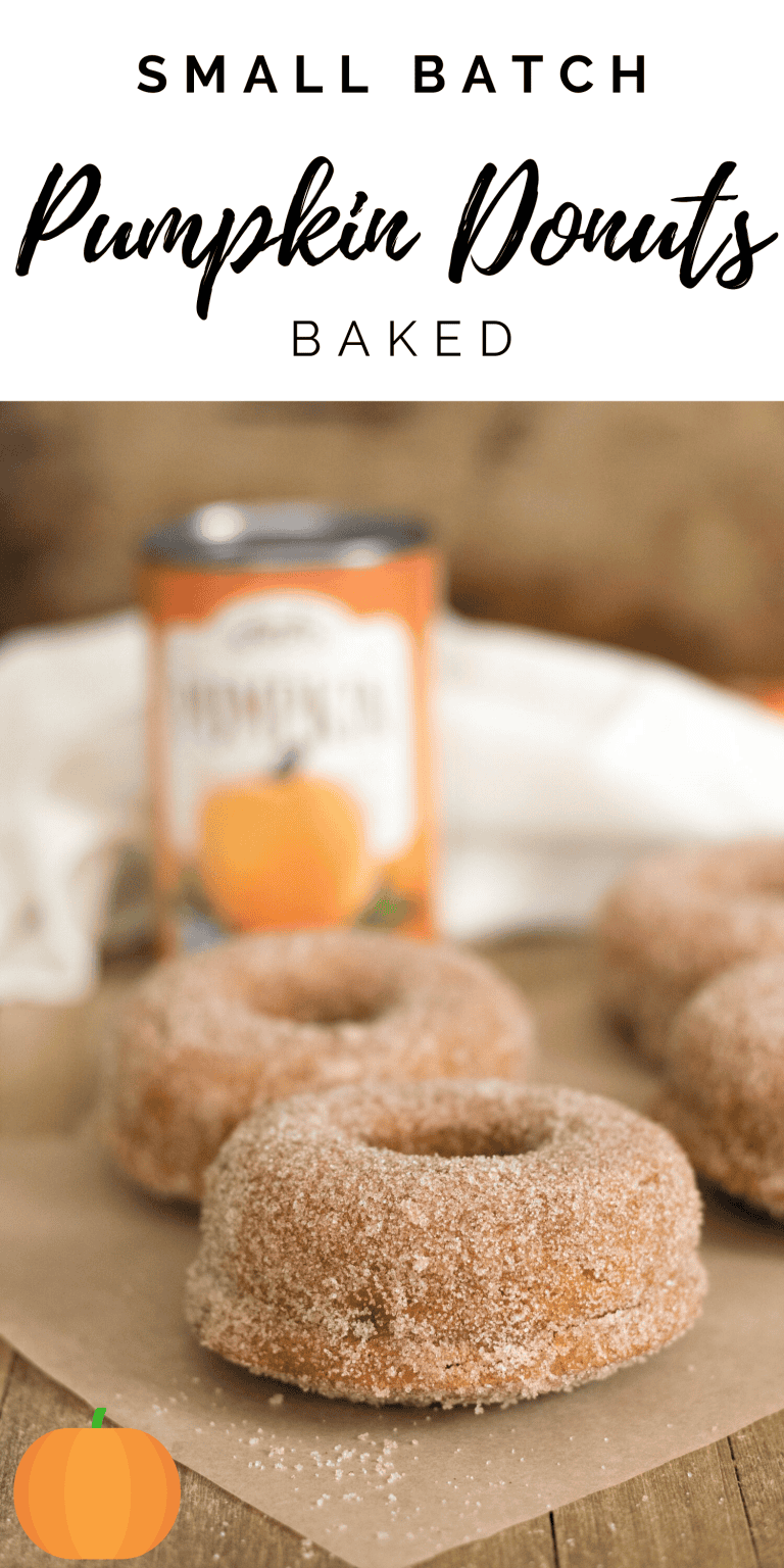 The Easiest Small Batch Pumpkin Donuts (YIELD 4) - Lifestyle of a Foodie