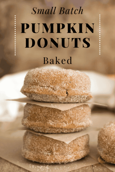The Easiest Small Batch Pumpkin Donuts (YIELD 4) - Lifestyle of a Foodie