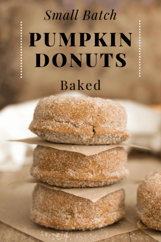 The Easiest Small Batch Pumpkin Donuts (YIELD 4) - Lifestyle of a Foodie