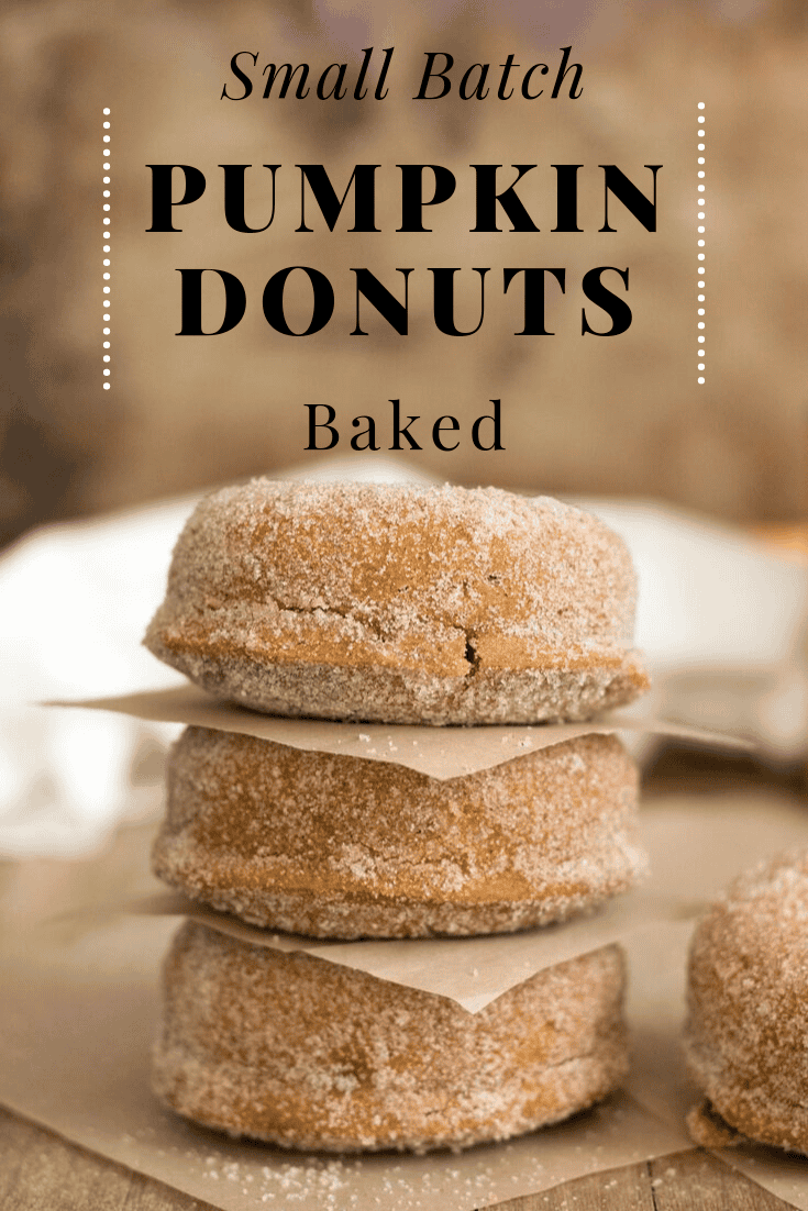 The Easiest Small Batch Pumpkin Donuts (YIELD 4) - Lifestyle of a Foodie