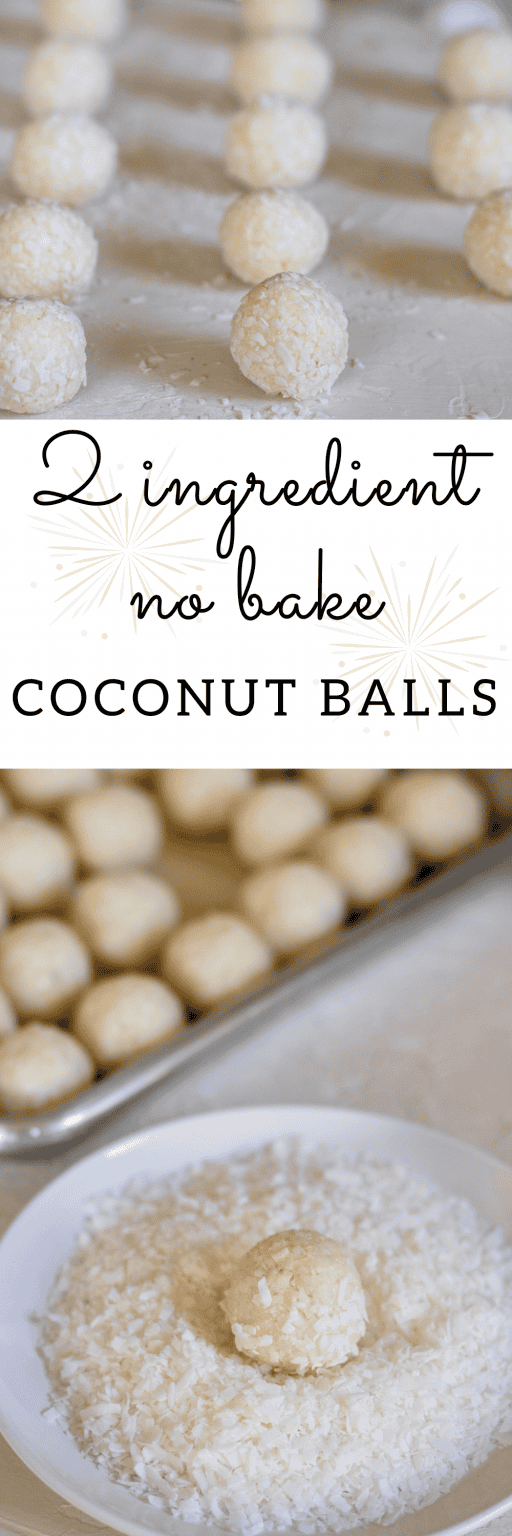 2-Ingredient No bake Coconut Balls - Lifestyle of a Foodie