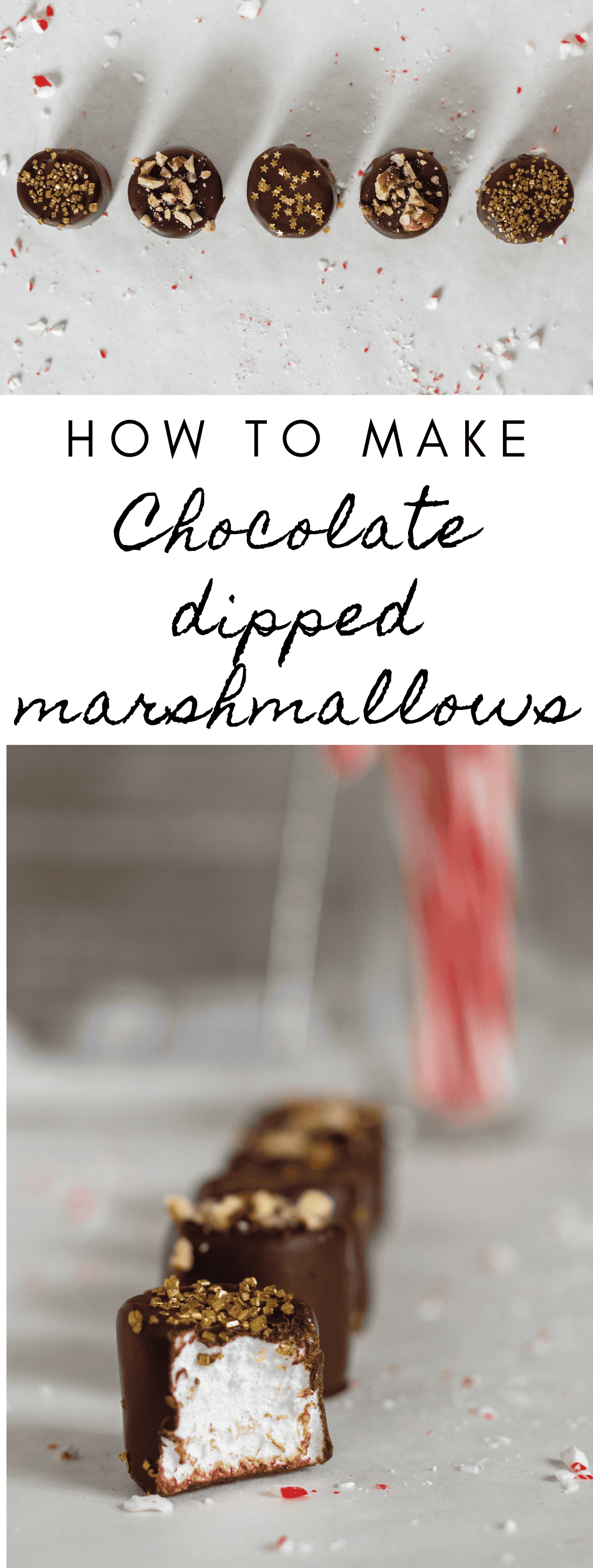 The Best Chocolate Covered Marshmallows Recipe - Lifestyle of a Foodie