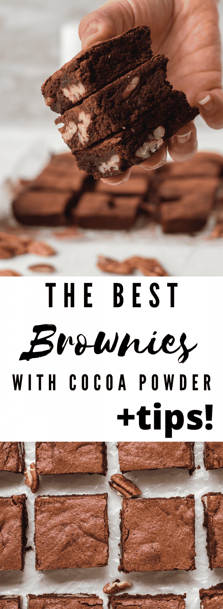 How to Make Chewy Brownies With Cocoa Powder - Lifestyle of a Foodie