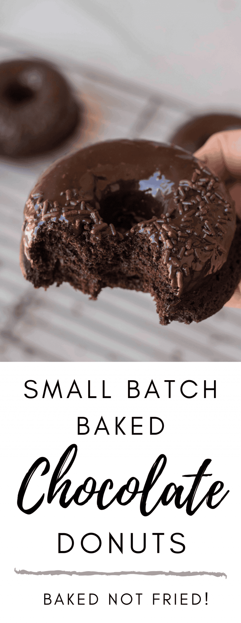 Small Batch baked Chocolate Donuts - Lifestyle of a Foodie