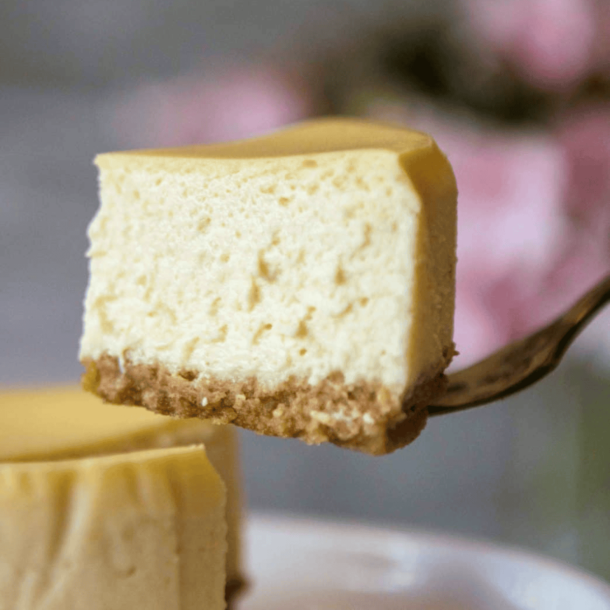 4-Inch Cheesecake Recipe (Easy Small Batch Dessert)
