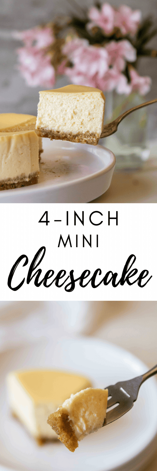 Easy 4-inch mini cheesecake recipe for one/two - Lifestyle of a Foodie
