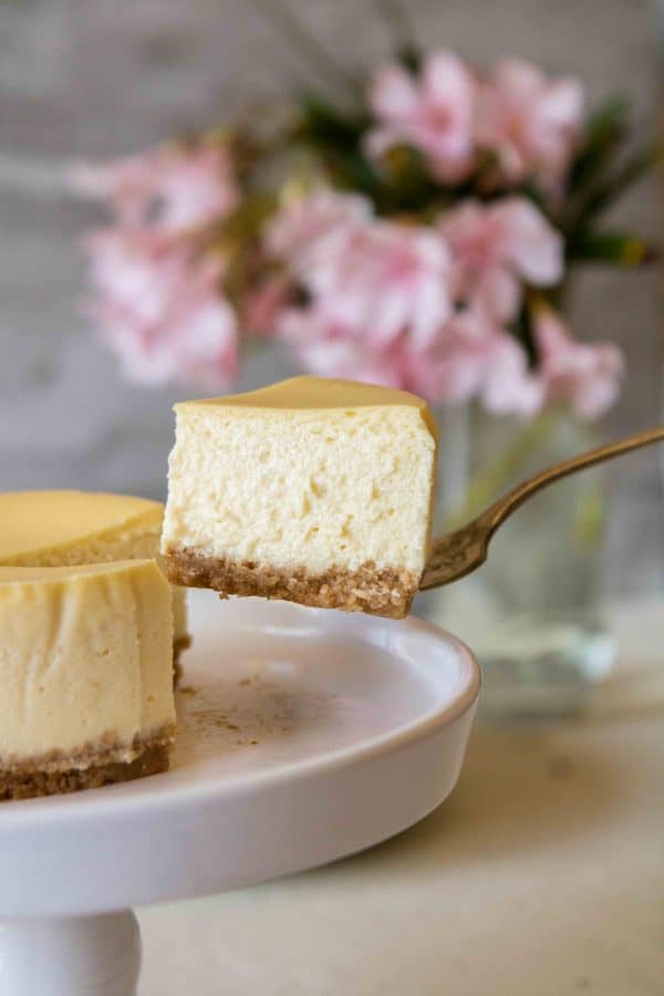 4-Inch Cheesecake Recipe (Easy Small Batch Dessert)