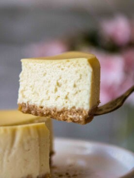 Easy 4-inch mini cheesecake recipe for one/two - Lifestyle of a Foodie