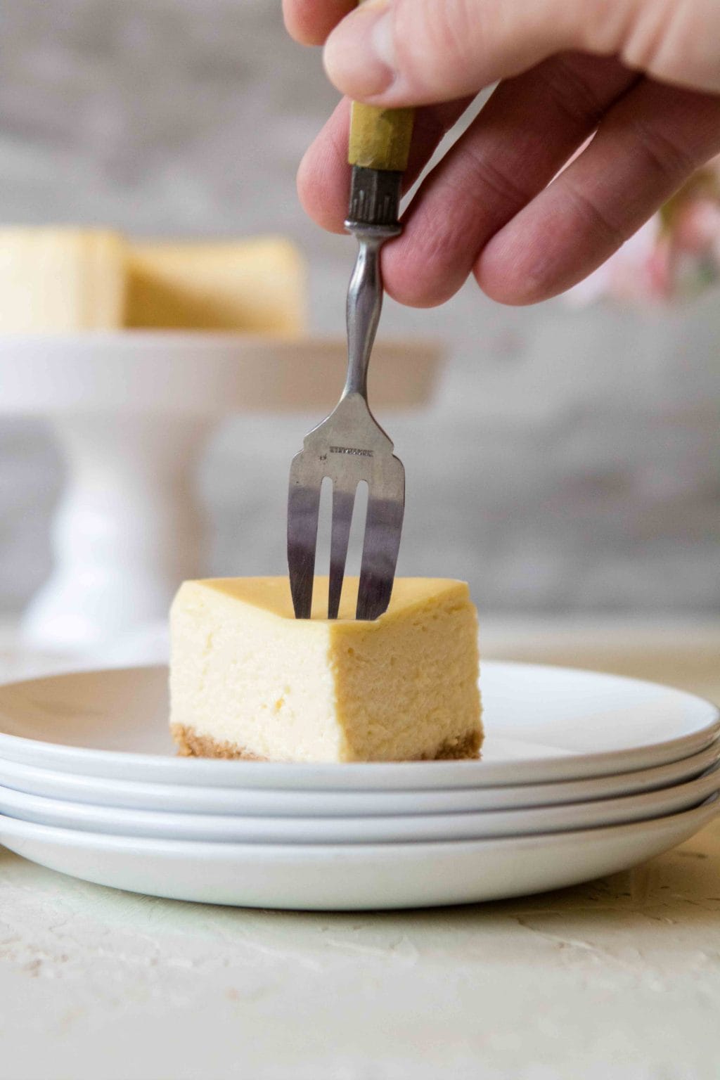 Easy 4-inch mini cheesecake recipe for one/two - Lifestyle of a Foodie