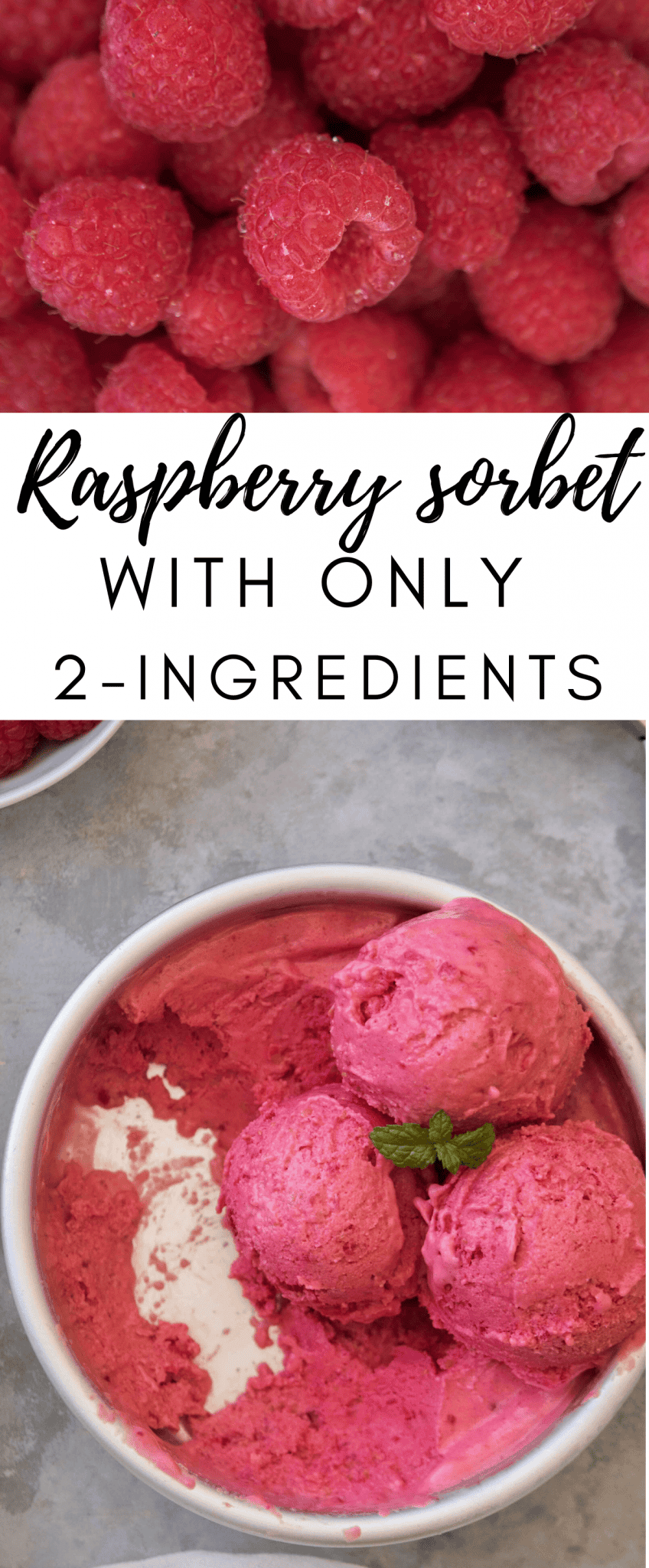 The Easiest 2-ingredient Raspberry Sorbet - Lifestyle of a Foodie