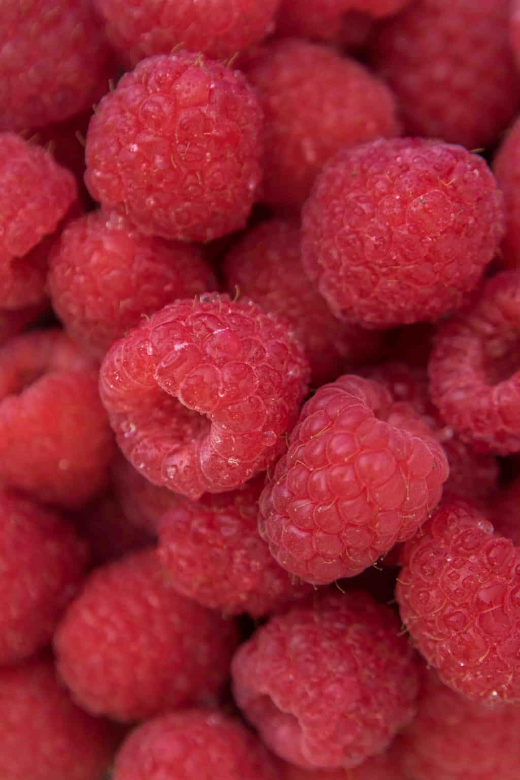 The Easiest 2-ingredient Raspberry Sorbet - Lifestyle of a Foodie