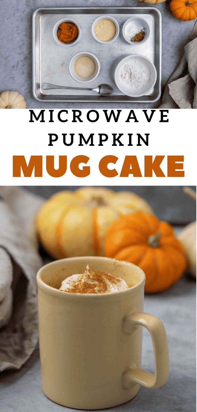 Easy Single Serve Pumpkin Mug Cake + VIDEO - Lifestyle of a Foodie