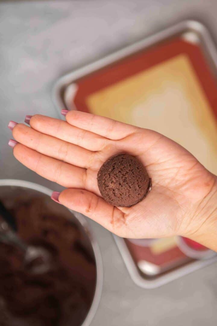 Chewy Valentine's Day Crinkle Chocolate Cookies with Sprinkles ...