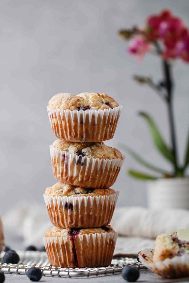 Kid Friendly Blueberry Pancake Mix Muffins - Lifestyle of a Foodie