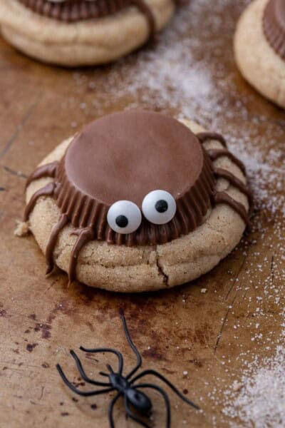 Spooky Snickerdoodle Halloween Spider Cookies - Lifestyle of a Foodie