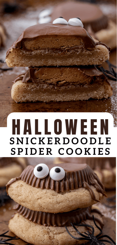 Spooky Snickerdoodle Halloween Spider Cookies - Lifestyle of a Foodie