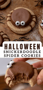 Spooky Snickerdoodle Halloween Spider Cookies - Lifestyle of a Foodie