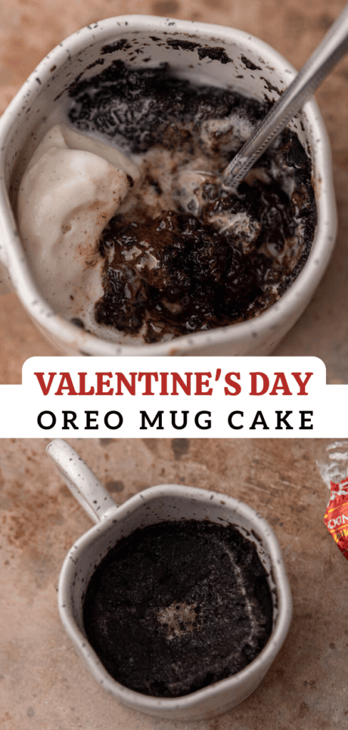 Easy Molten Tiktok Oreo mug cake - Lifestyle of a Foodie