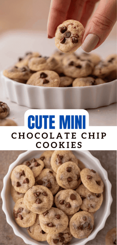 The Best Mini Chocolate Chip Cookies - Lifestyle of a Foodie