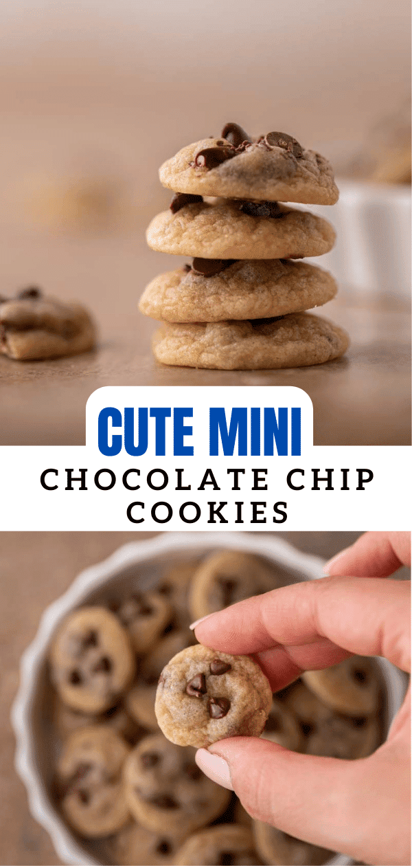 The Best Mini Chocolate Chip Cookies - Lifestyle of a Foodie