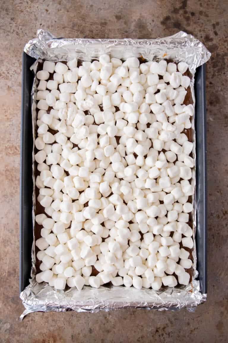 The Best Starbucks S'mores Bars Recipe - Lifestyle of a Foodie