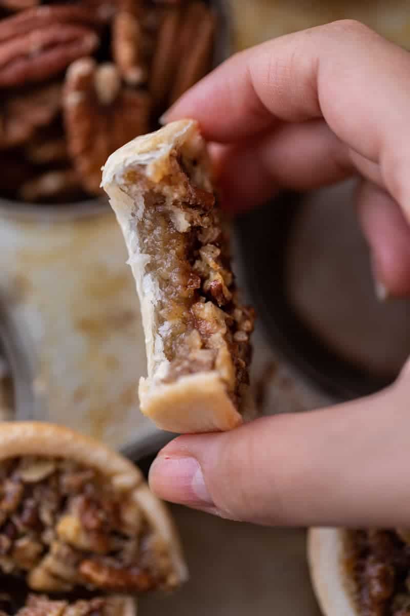 The best mini pecan pies recipe made in a muffin tin - Lifestyle of a ...