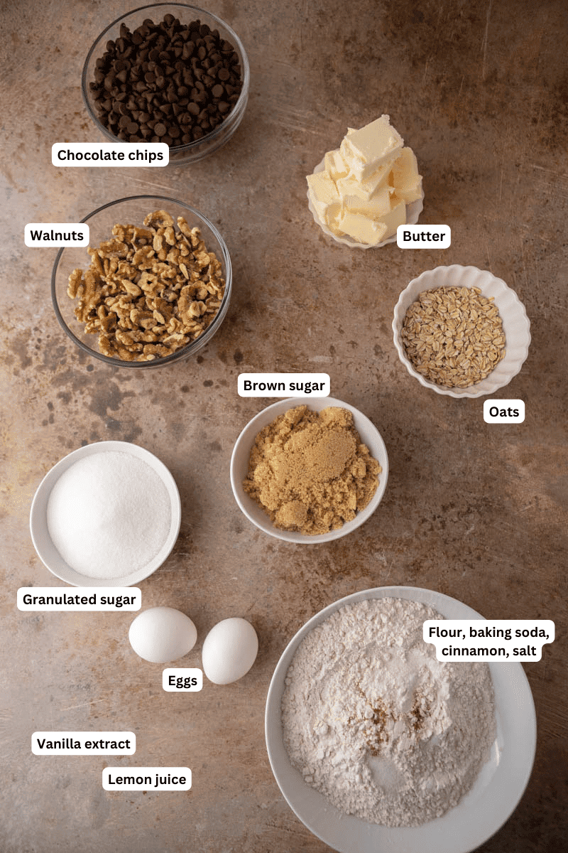 The Famous Official Doubletree Cookie copycat Recipe - Lifestyle of a ...