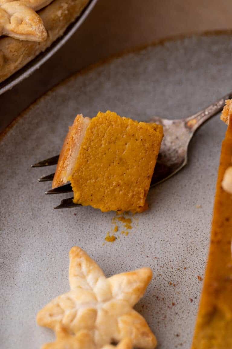 The Best Recipe For Two Pumpkin Pies 9-Inch Pie Crust - Lifestyle of a ...