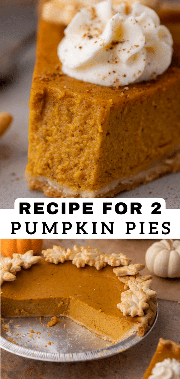The Best Recipe For Two Pumpkin Pies 9-Inch Pie Crust - Lifestyle of a Foodie