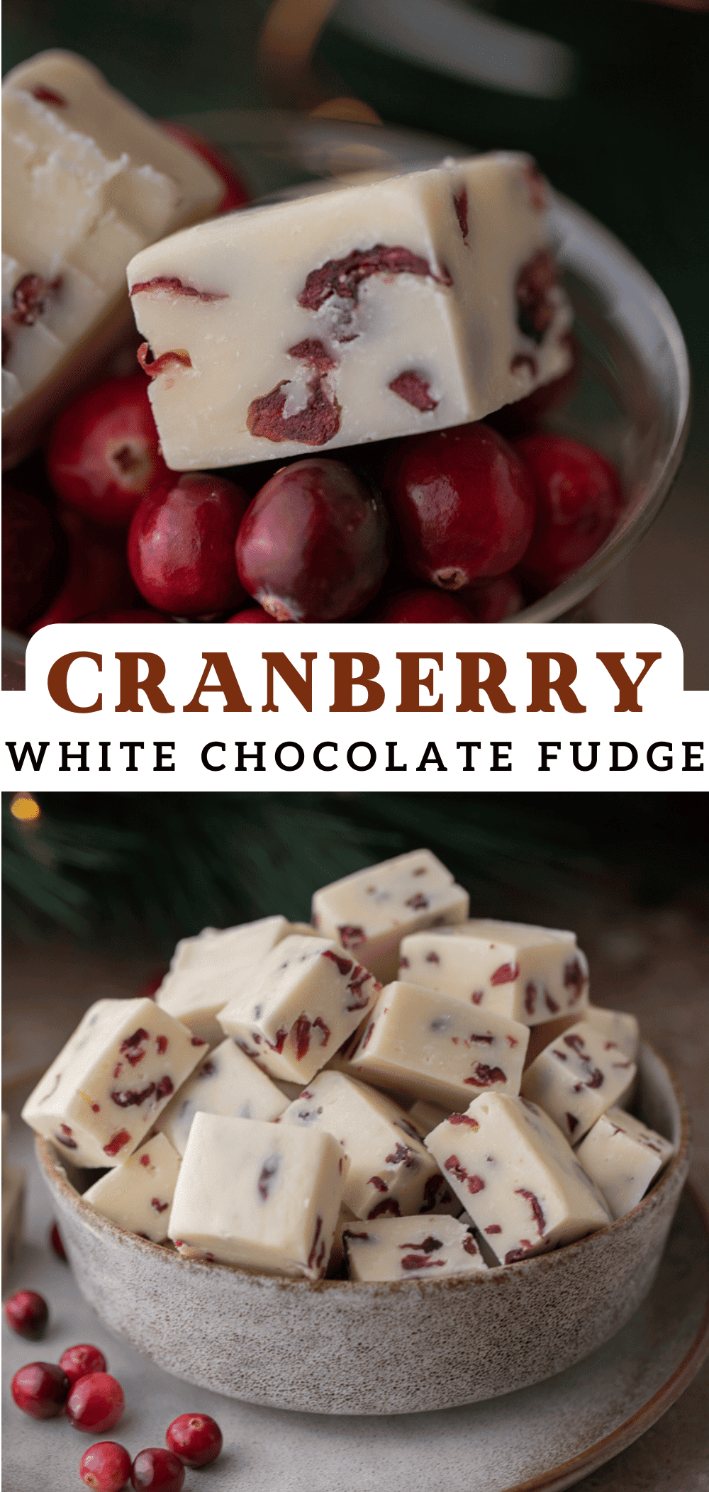 The Best Cranberry White Chocolate Fudge Recipe - Lifestyle of a Foodie