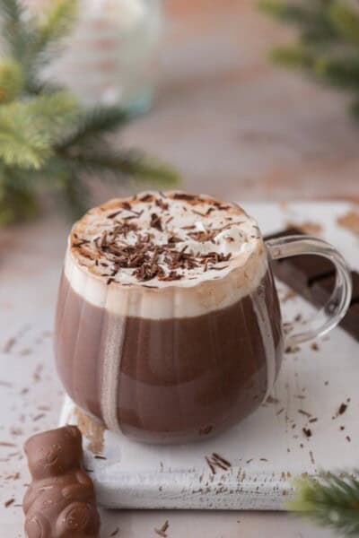 Easy Homemade Hot Chocolate For One Recipe - Lifestyle of a Foodie