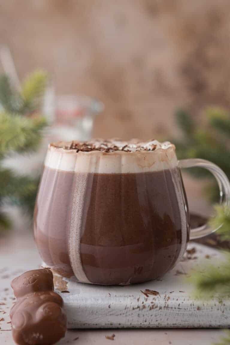 Easy Homemade Hot Chocolate For One Recipe - Lifestyle of a Foodie
