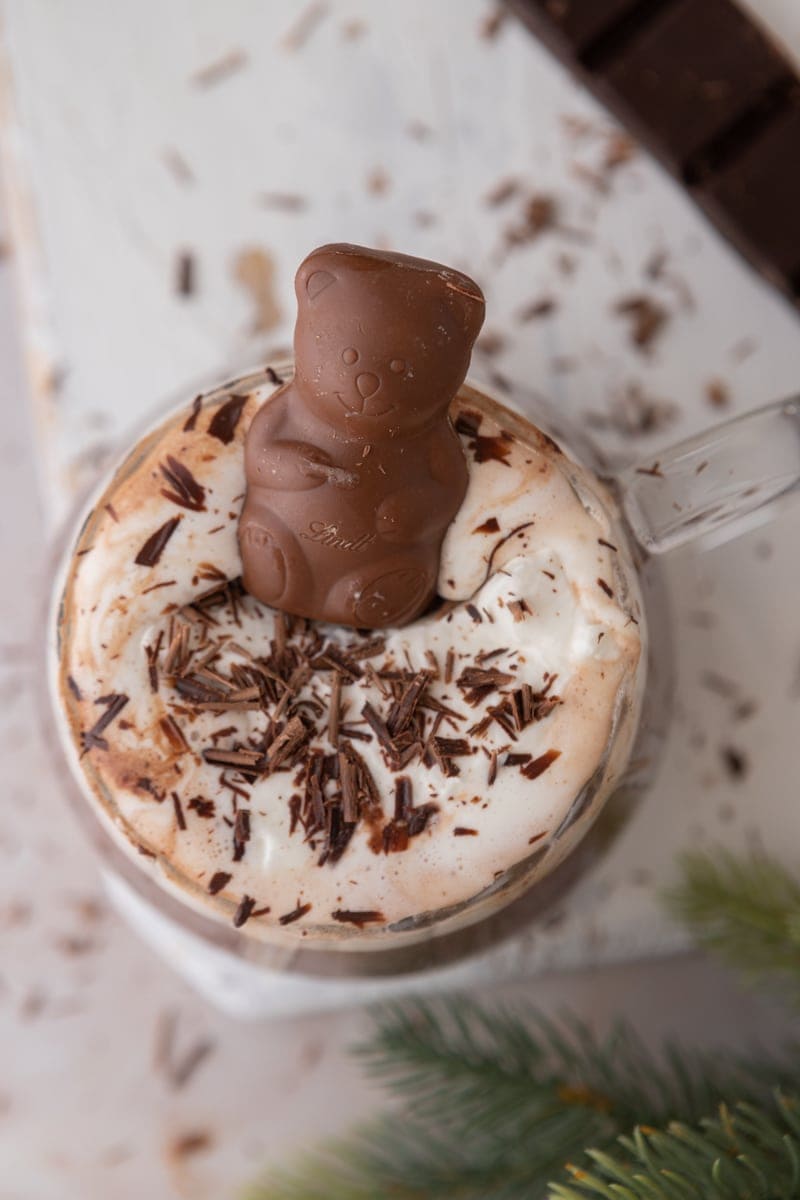 Easy Homemade Hot Chocolate For One Recipe - Lifestyle of a Foodie