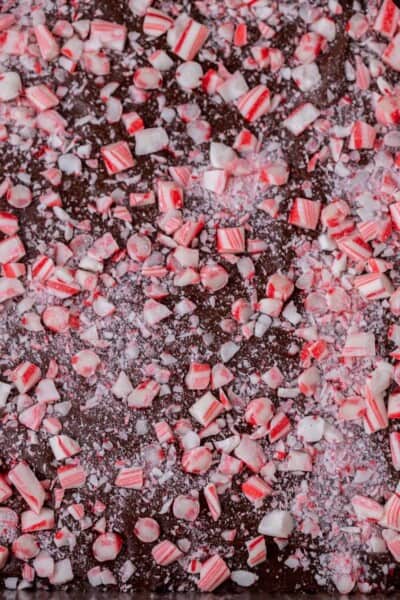 The Best Chocolate Peppermint Fudge Recipe - Lifestyle of a Foodie