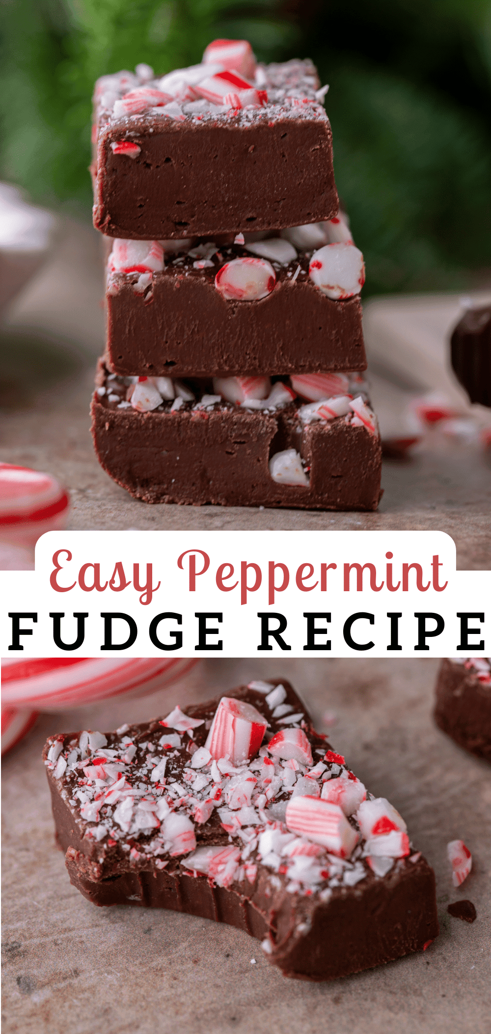 The Best Chocolate Peppermint Fudge Recipe - Lifestyle of a Foodie
