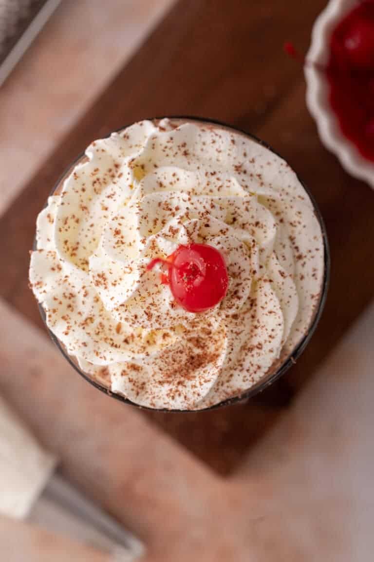 How to Make a Chocolate Milkshake (The Best Recipe) - Lifestyle of a Foodie