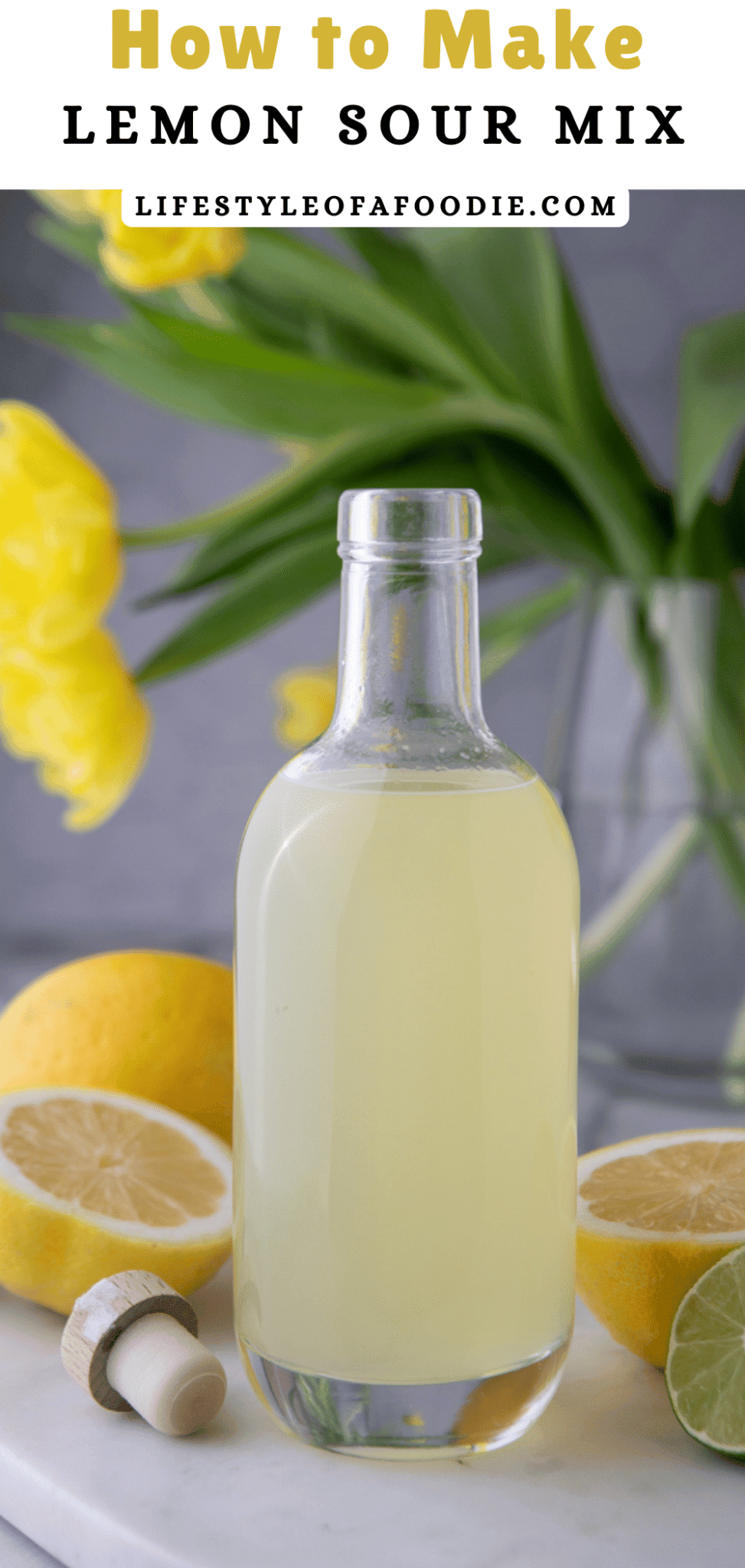 How to Make Homemade Lemon Sour Mix - Lifestyle of a Foodie