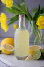 How to Make Homemade Lemon Sour Mix - Lifestyle of a Foodie
