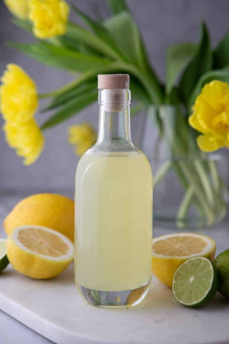 How to Make Homemade Lemon Sour Mix - Lifestyle of a Foodie