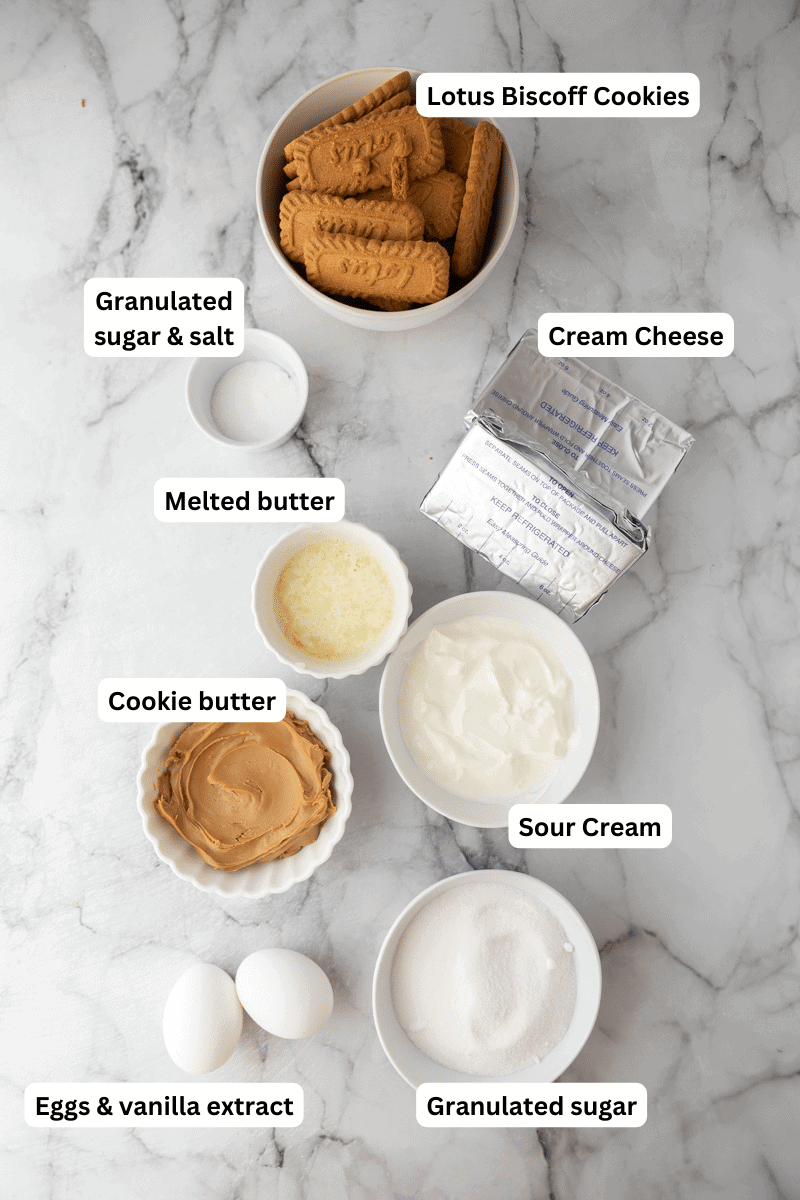 The Best 6-inch Biscoff Cheesecake Recipe - Lifestyle of a Foodie