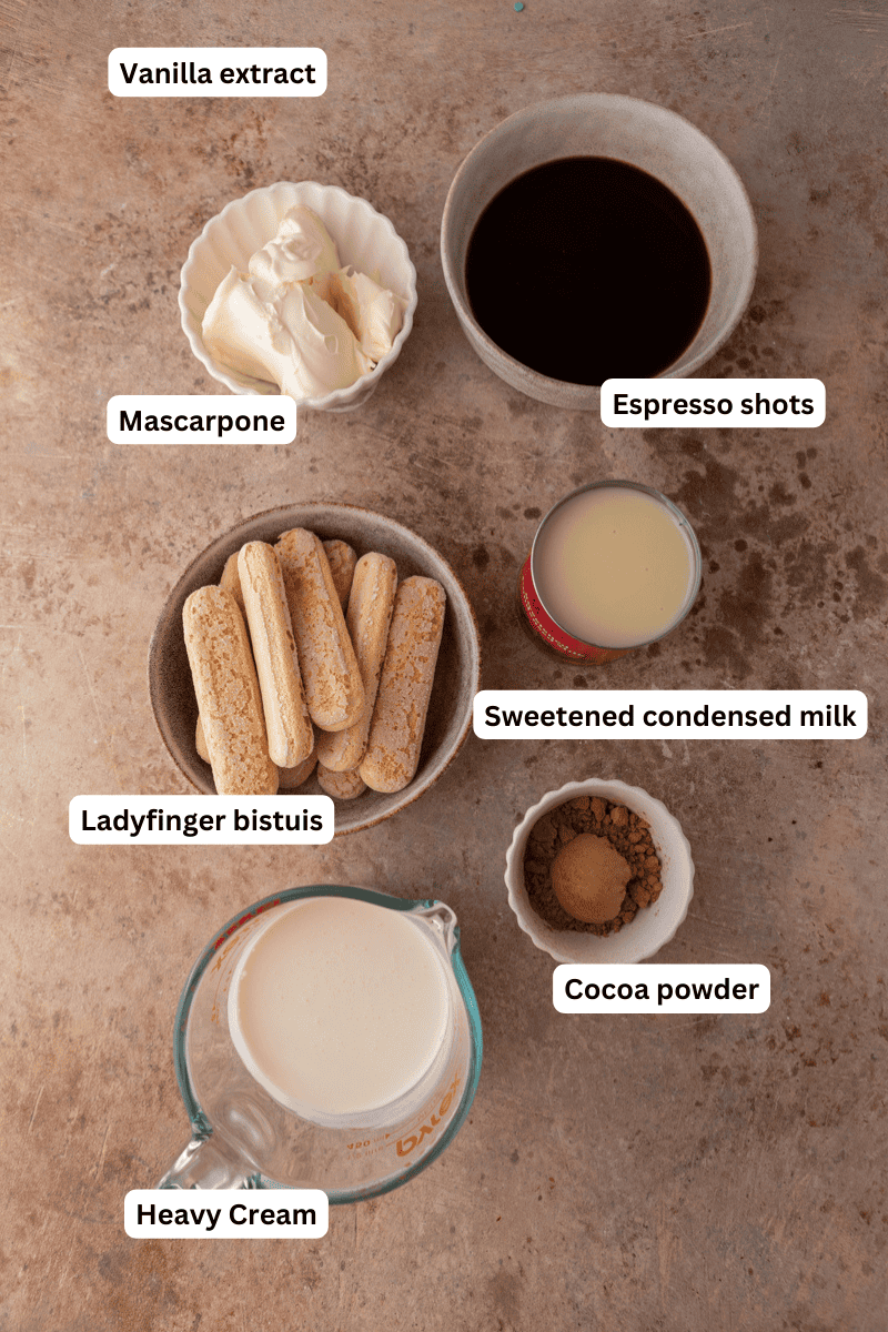 Tiramisu Ice Cream (No-Churn + Ninja Creami)