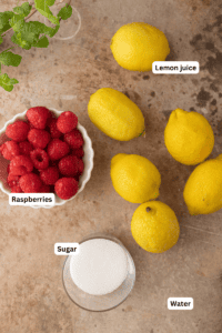 The Best Raspberry Lemonade Recipe - Lifestyle of a Foodie