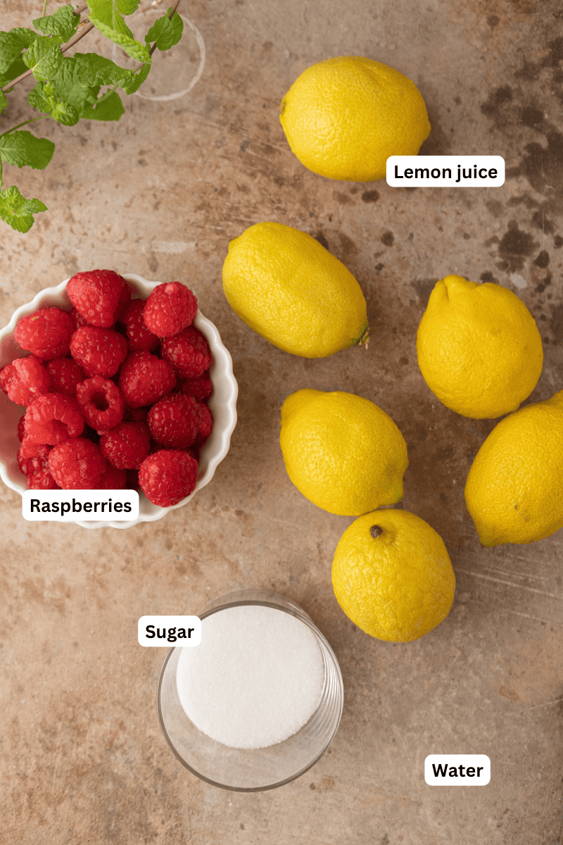 The Best Raspberry Lemonade Recipe - Lifestyle of a Foodie