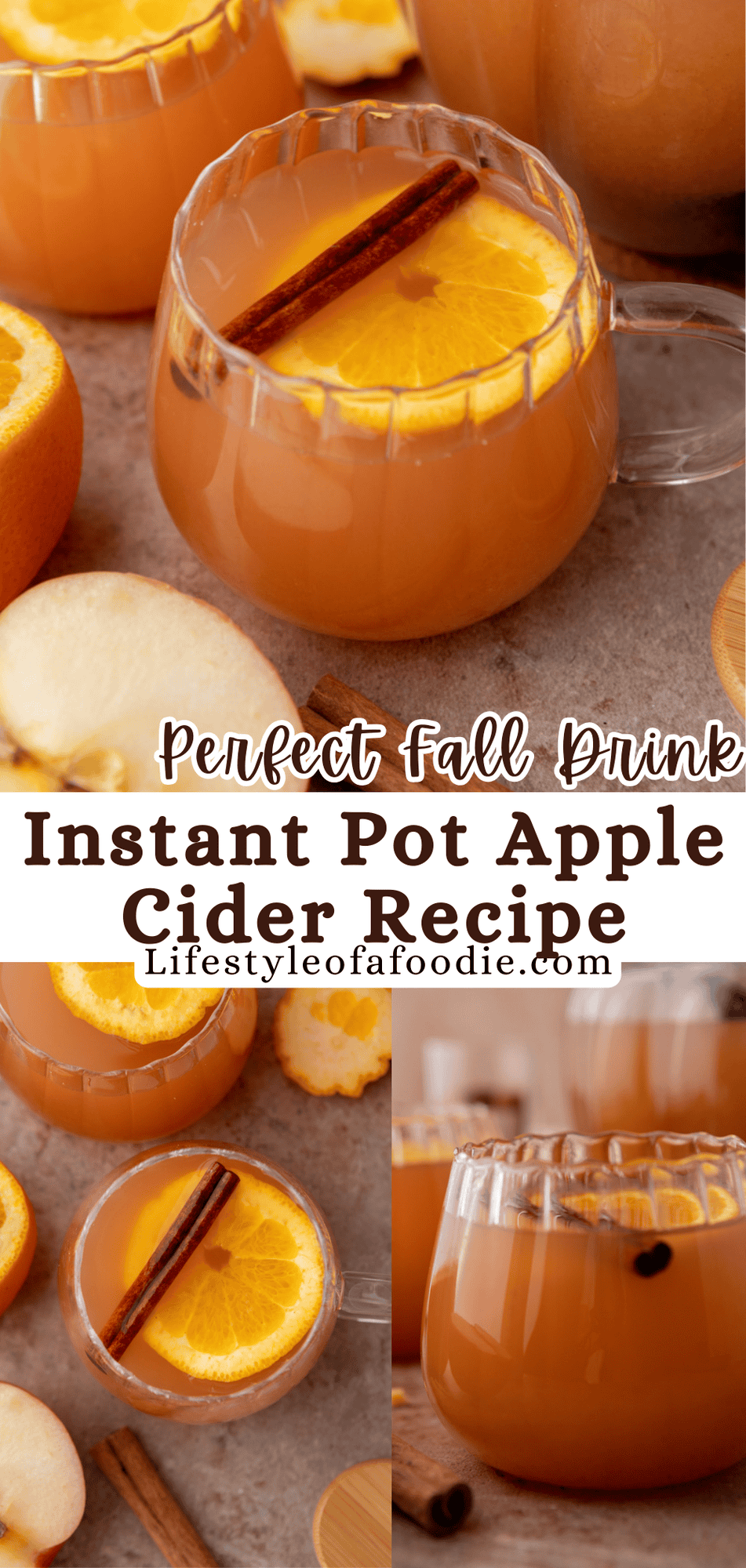 The Best Instant Pot Apple Cider Recipe - Lifestyle of a Foodie