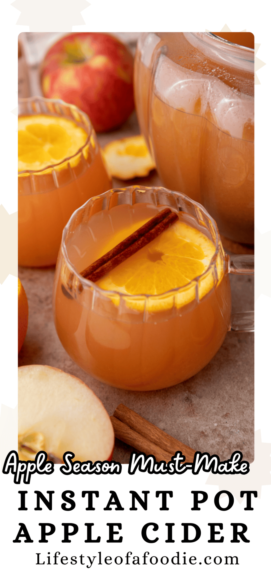 The Best Instant Pot Apple Cider Recipe - Lifestyle of a Foodie