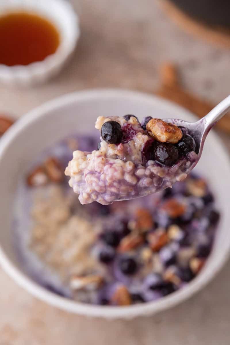 How to Cook Steel-Cut Oats in Instant Pot - Lifestyle of a Foodie