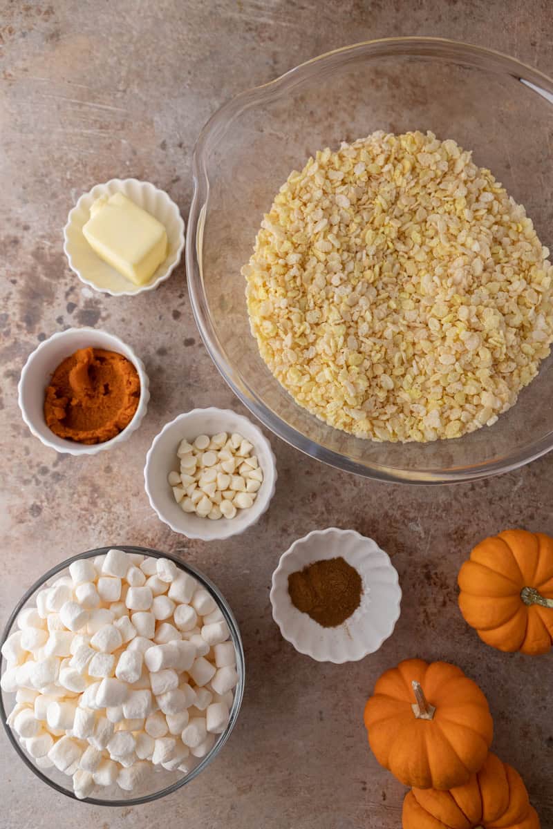 The Best Pumpkin Rice Krispie Treats Recipe - Lifestyle of a Foodie