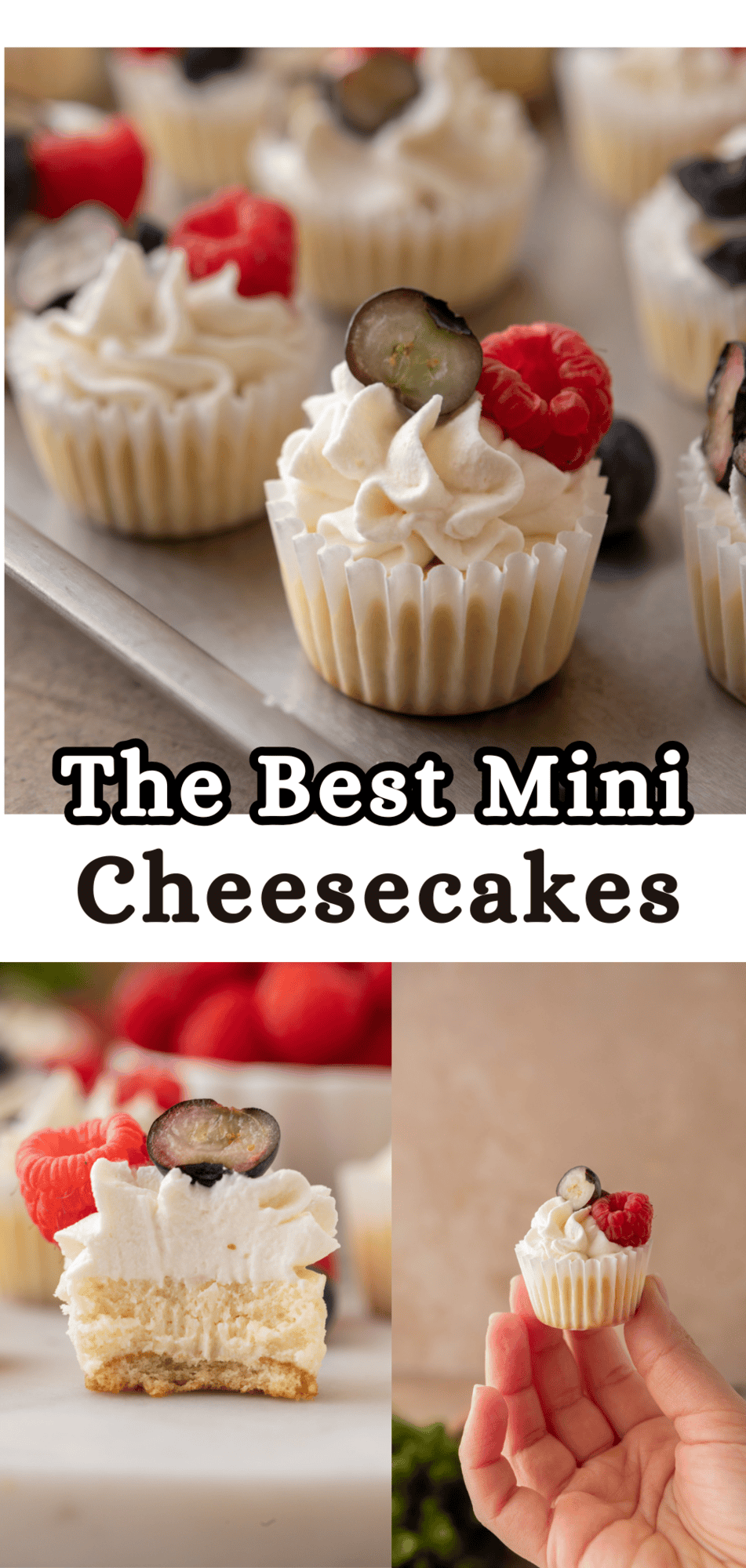 The Best Mini Cheesecakes with Nilla Wafers - Lifestyle of a Foodie