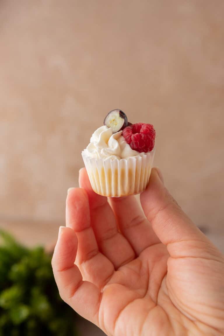 The Best Mini Cheesecakes with Nilla Wafers - Lifestyle of a Foodie