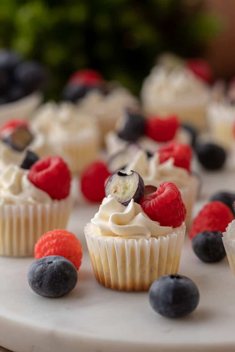 The Best Mini Cheesecakes with Nilla Wafers - Lifestyle of a Foodie